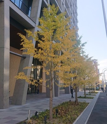 vol.121-photo-minoh — サイト